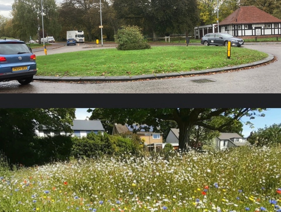 Input: Plant bulbs and wildflowers on the roundabout a... | Cambridge ...