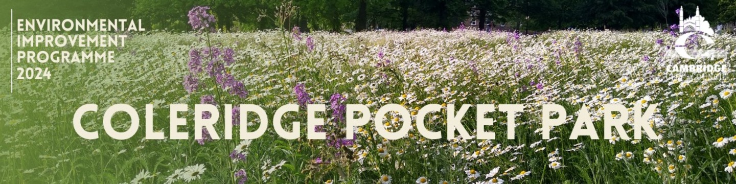 Project: Improving biodiversity in a Coleridge pocket park | Cambridge ...