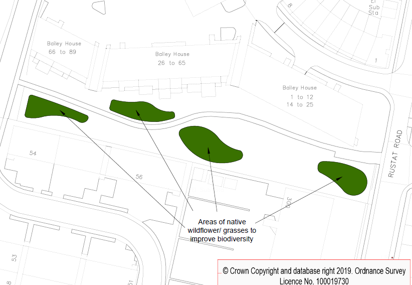 Project: Improving biodiversity in a Coleridge pocket park | Cambridge ...